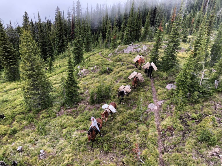 There's a Shortage of Trail Builders. These Programs Can Help. - Backpacker