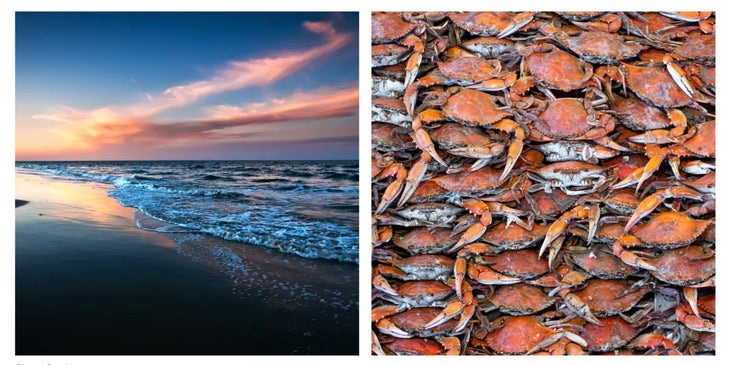 The 4 Best Eco-Friendly Ocean Experiences - Yoga Journal