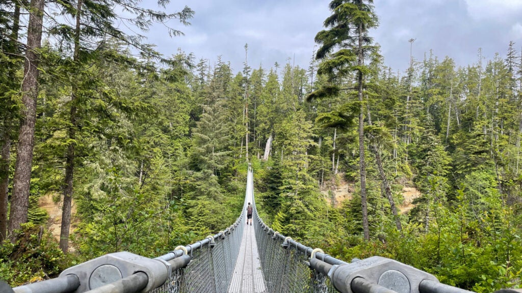 Straight-Line Hiking Opens the Door for Discovery