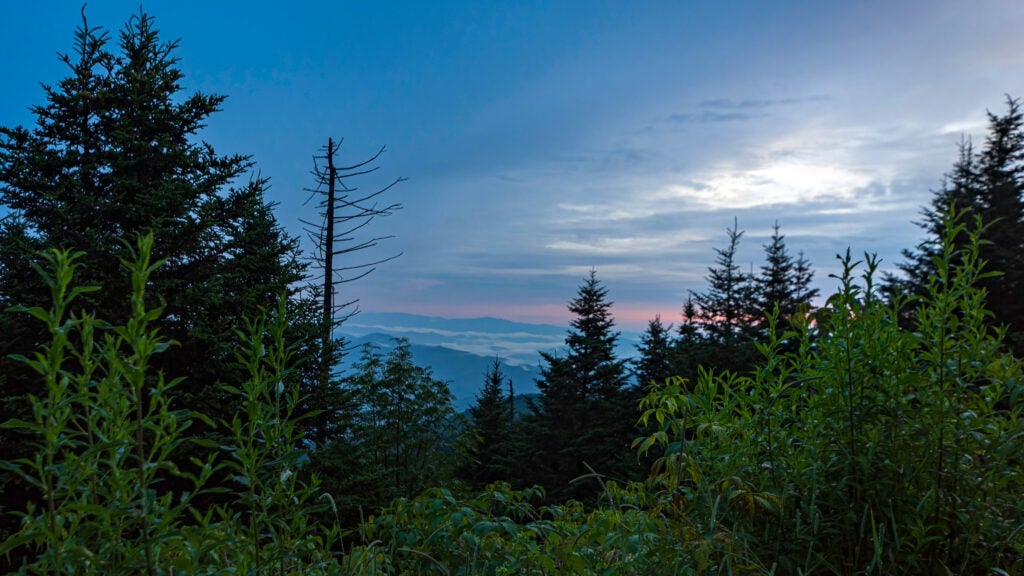 US Government Approves Renaming Clingmans Dome to Kuwohi - Backpacker