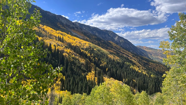 Garmin's Messenger Plus Is the New Benchmark for Satellite Devices