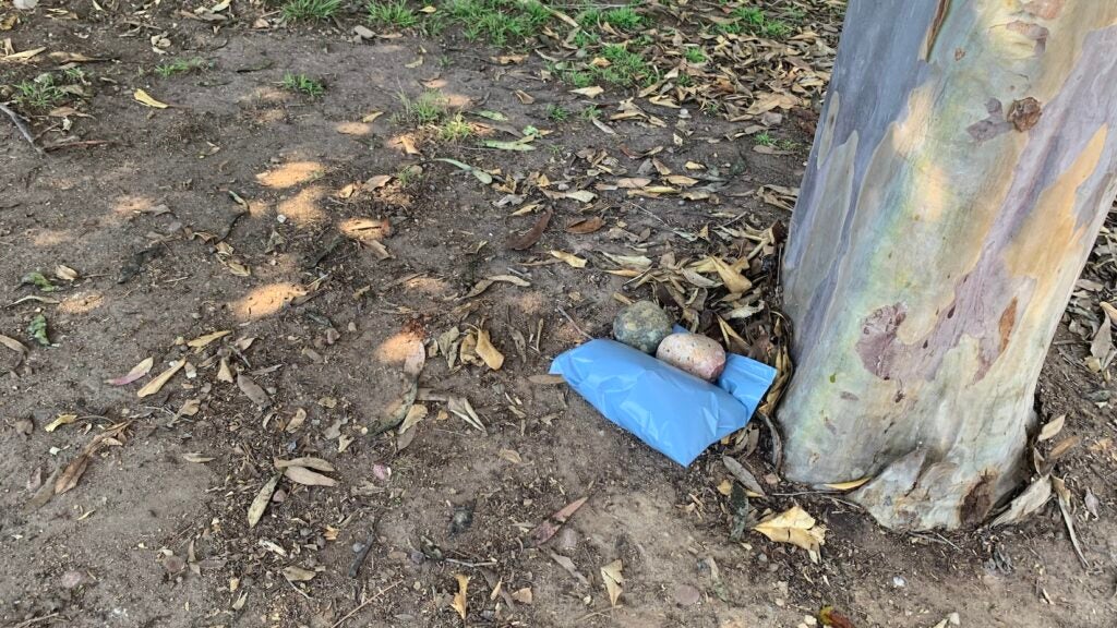 Hikers, Stop Leaving Your Used WAG Bags on the Trail - Backpacker