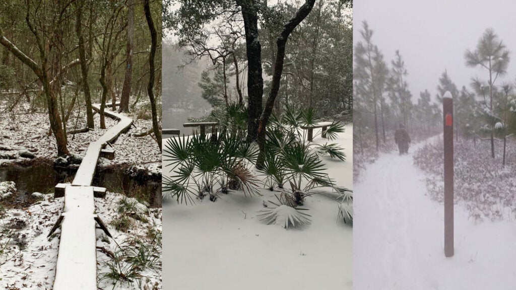 Florida Trail Covered in Snow After "Once-in-a-Century" Storm - Backpacker