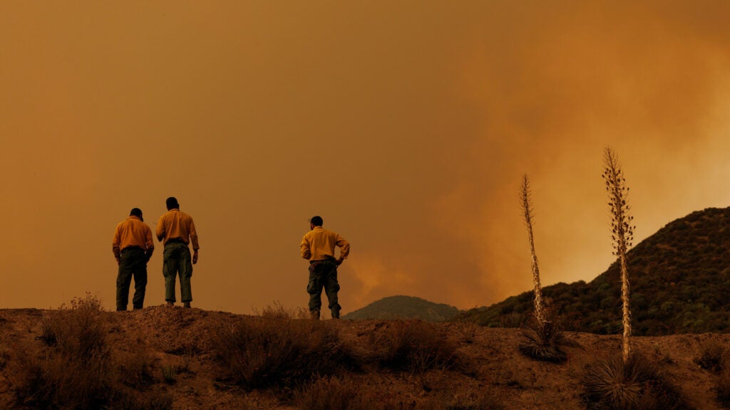 "I'm Afraid People Will Die": Fired Rangers Sound the Alarm - Backpacker