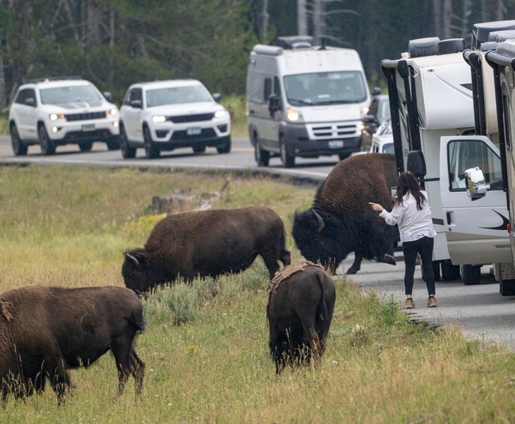 "I'm Afraid People Will Die": Fired Rangers Sound the Alarm - Backpacker