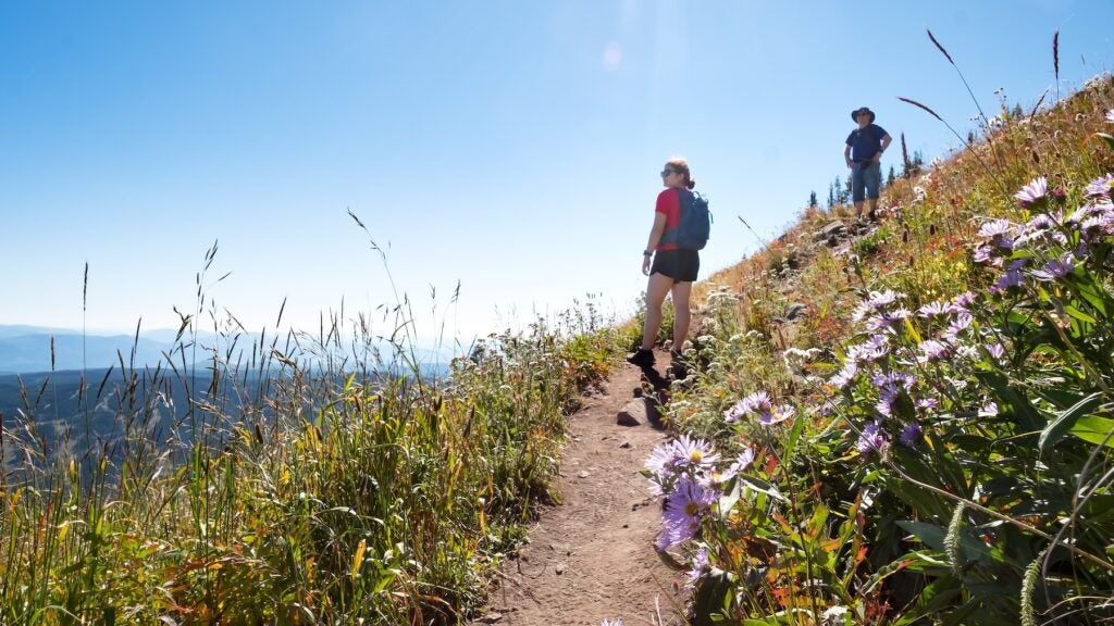See Nature’s Kaleidoscope On These 21 Wildflower Trails - Backpacker