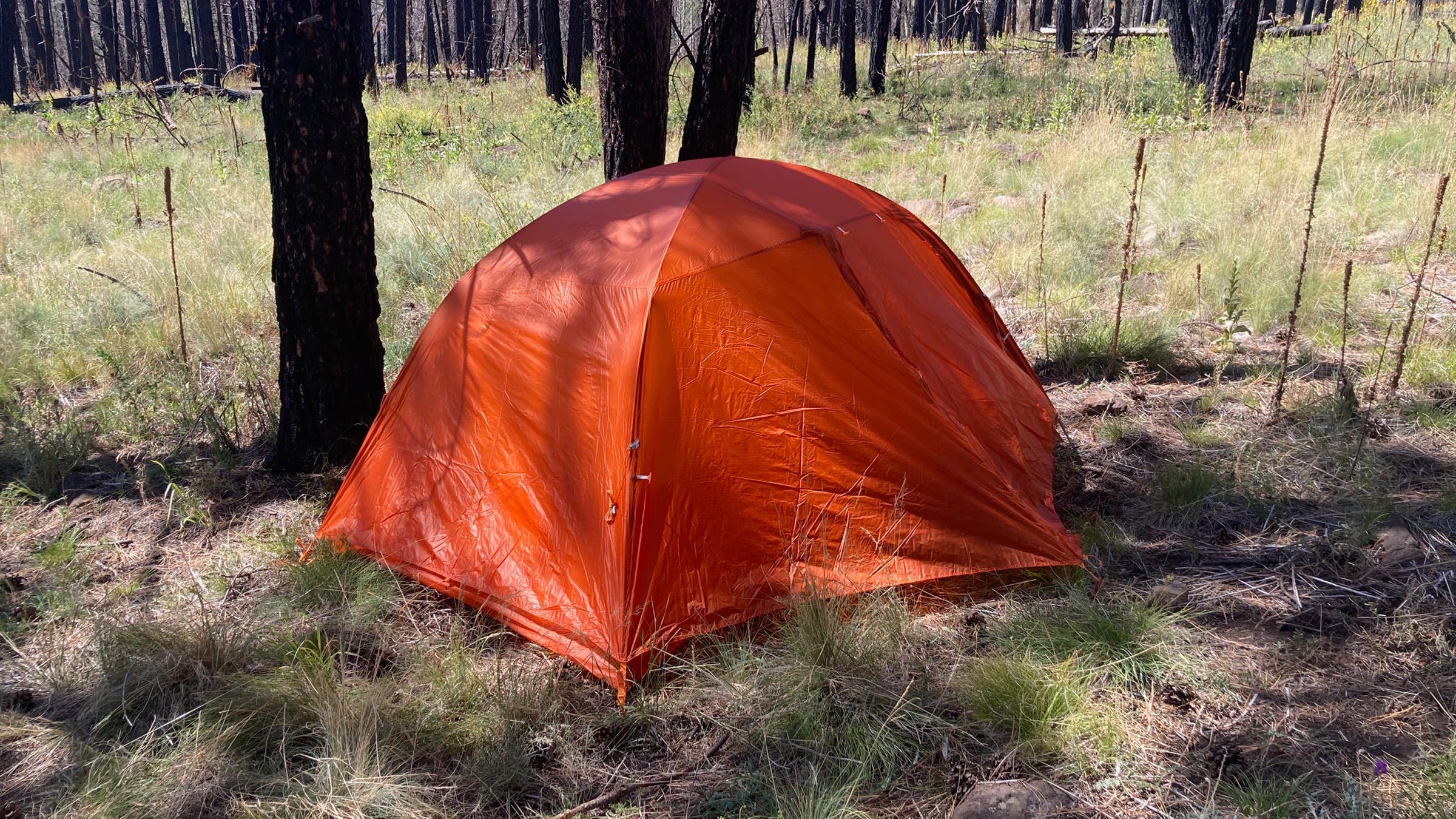 The 7 Best Backpacking Tents of 2026