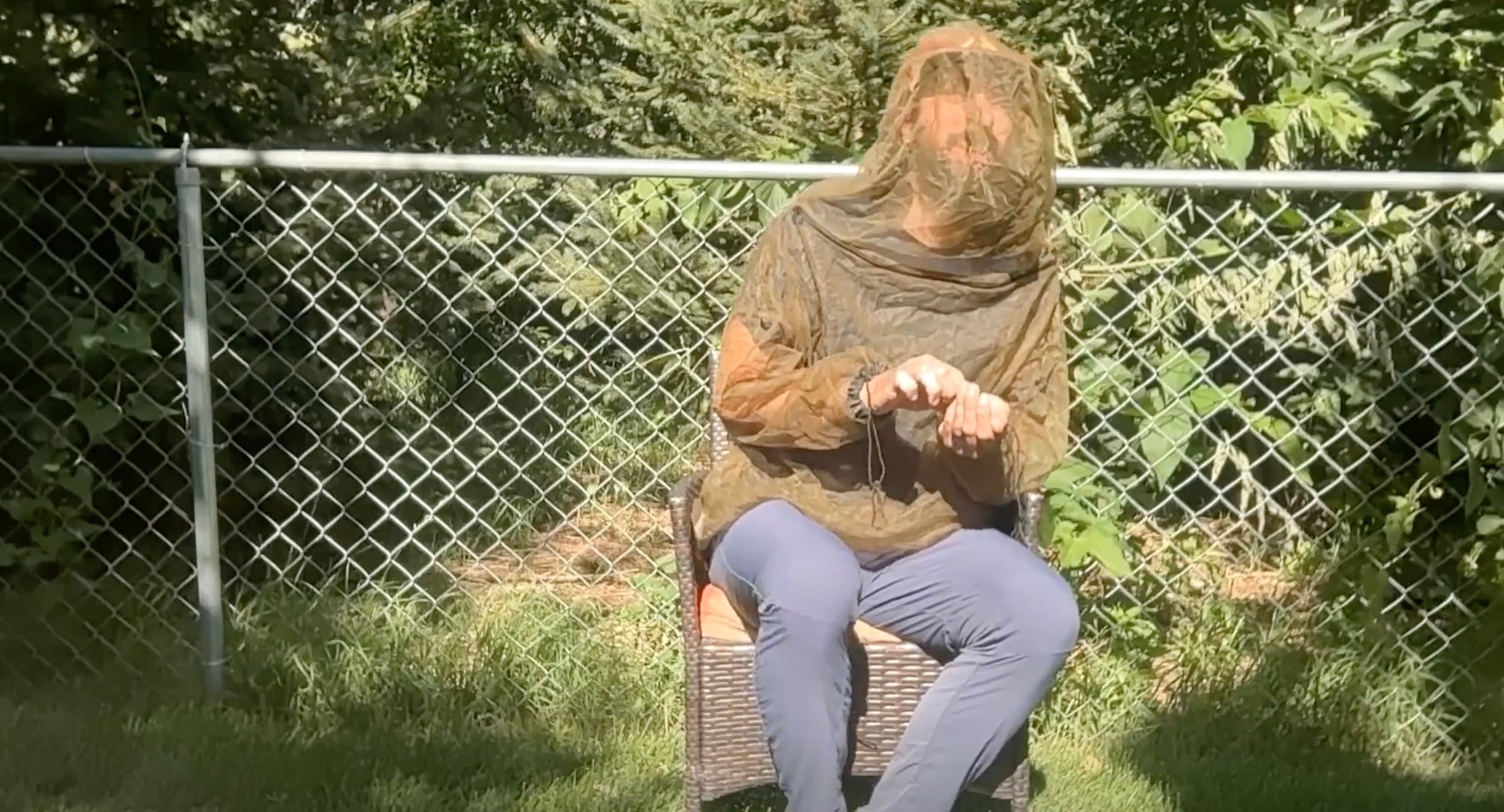 Mosquitoes Are a Hiker's Worst Enemy. Here's What to Do When Bug Spray ...